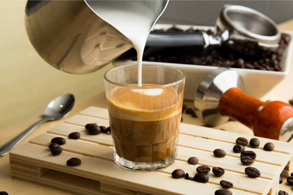 Cortado 101: Uncover the Secret & Master the Perfect Brew