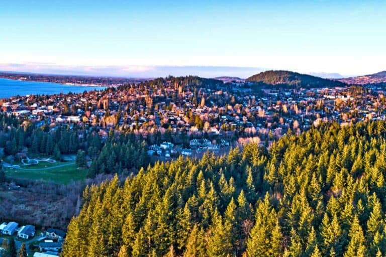 The 15 Best Bellingham Coffee Shops 2025