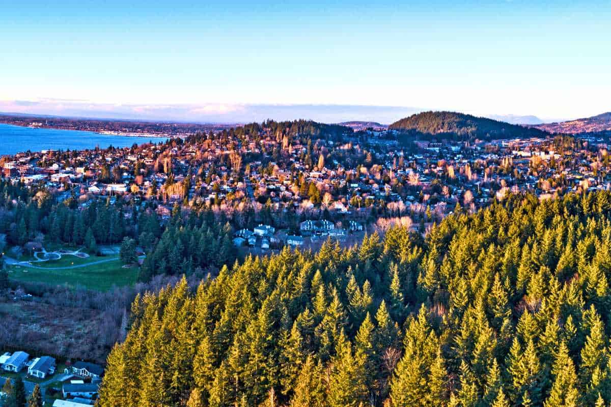 The 15 Best Bellingham Coffee Shops 2025