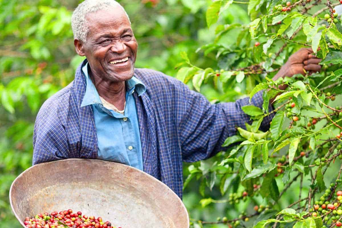 What is Fair Trade Coffee